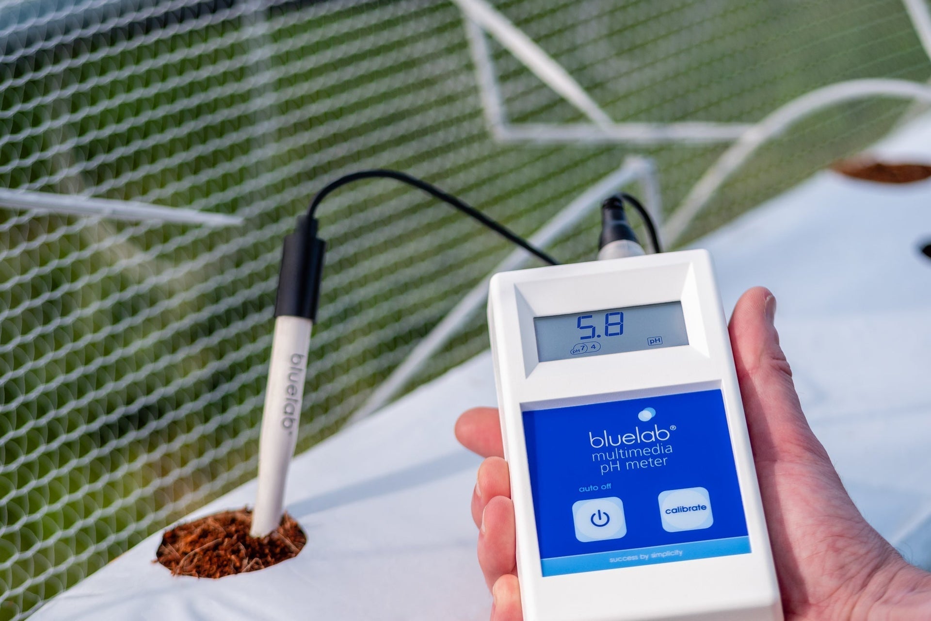 How to Measure Soil pH Accurately for Healthier Plants – Bluelab USA