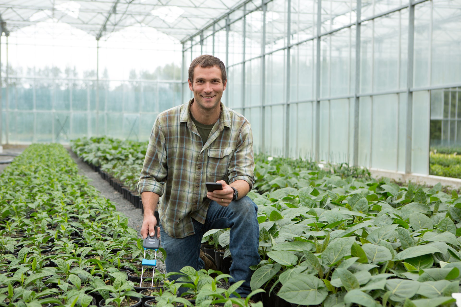 Bluelab Pulse Multimedia EC/MC Meter | Moisture, Conductivity ...