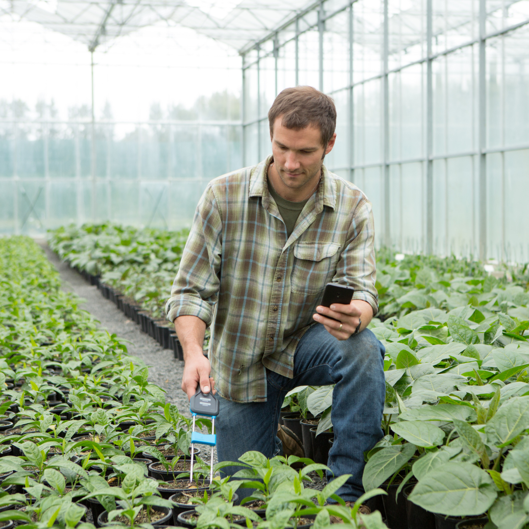 Bluelab Pulse Multimedia EC/MC Meter | Moisture, Conductivity ...